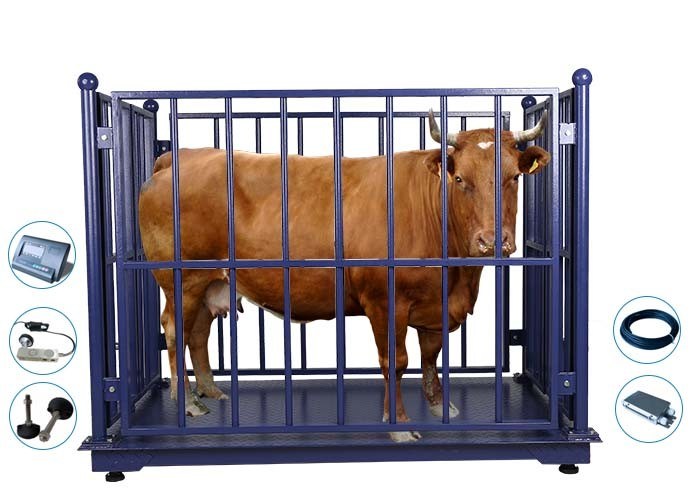 LED携帯用牛重量機械、1000Kg携帯用動物のスケール